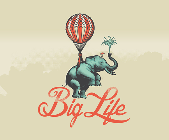 Visual design styles