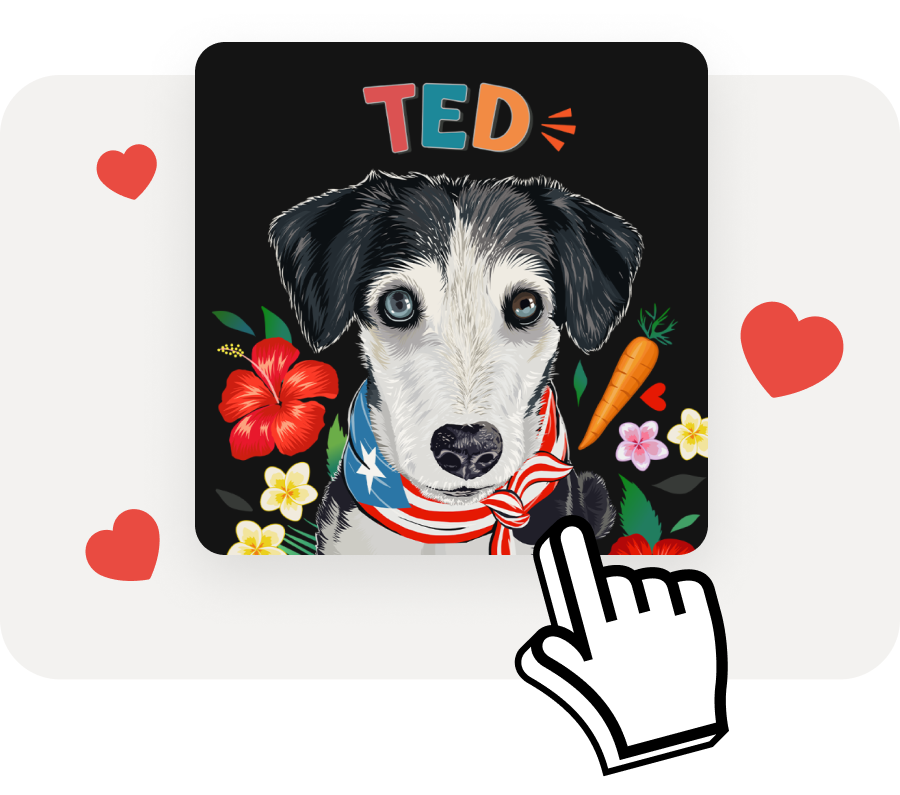 Graphic Illustration - Hire a Professional Illustrator | 99designs